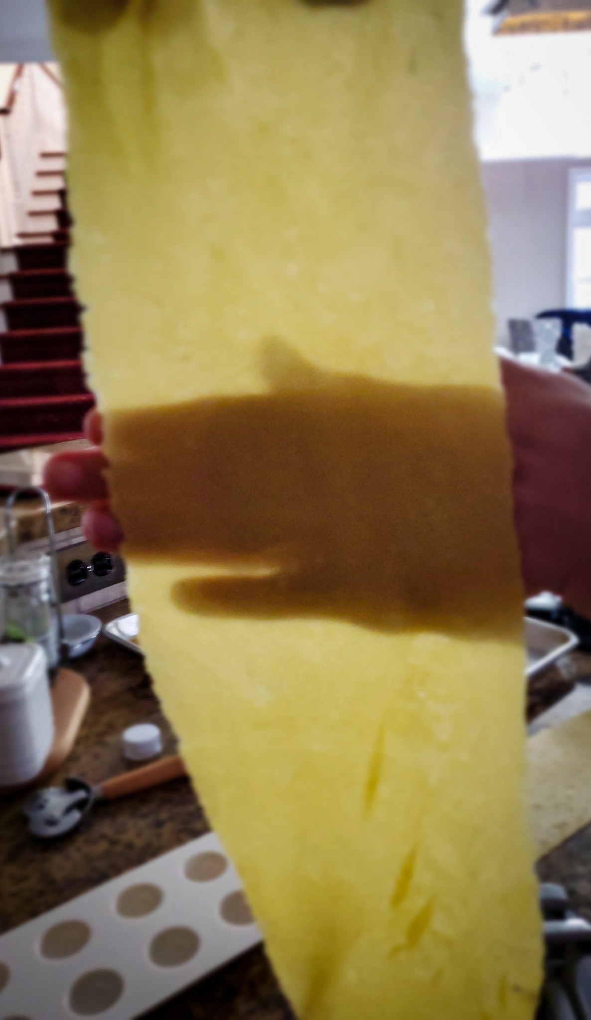 Fresh Pasta and Homemade Four Cheese Ravioli | Salt Sugar Spice